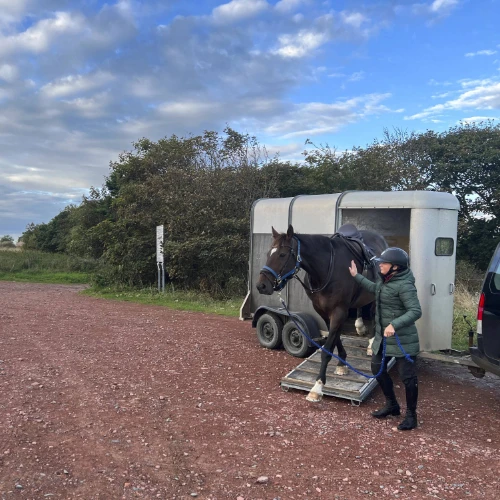 Horsebox Insurance Quotes and Cover | Howden Insurance