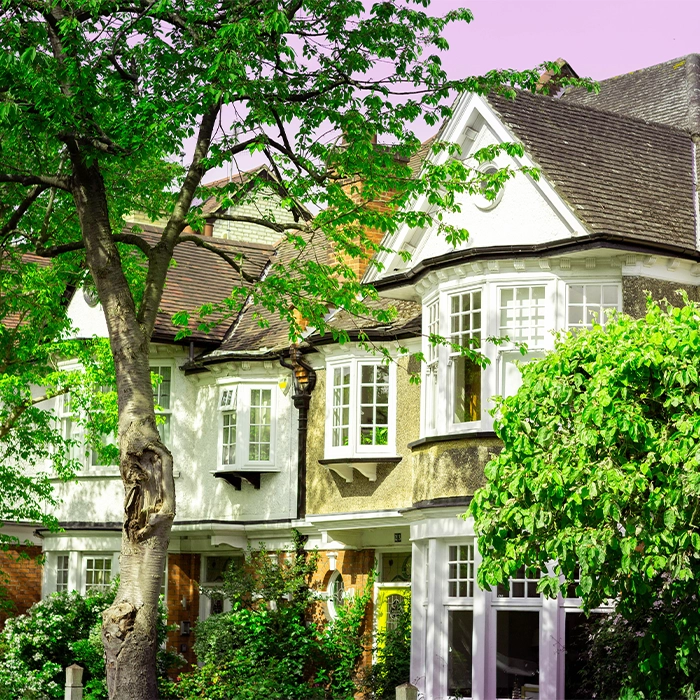 Trees and your property: Insurance considerations | Howden Insurance